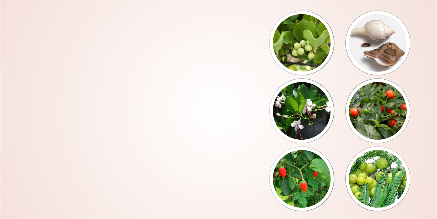 Histablock Tablets – Dr.JRK's Research and Pharmaceuticals