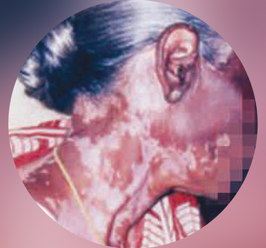 Tolenorm oil – Dr.JRK's Research and Pharmaceuticals