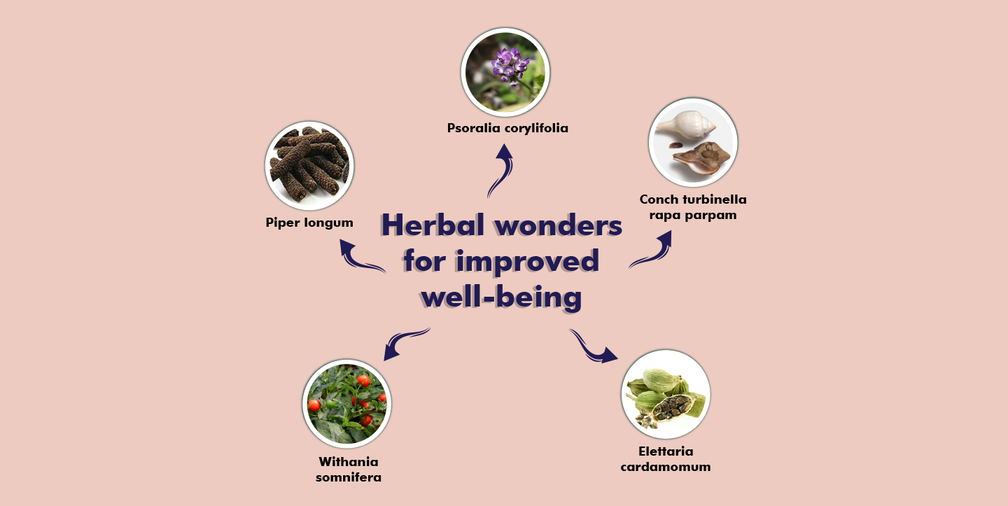 Vitiligo oil | Tolenorm oil best for Vitiligo treatment – Dr.JRK's ...